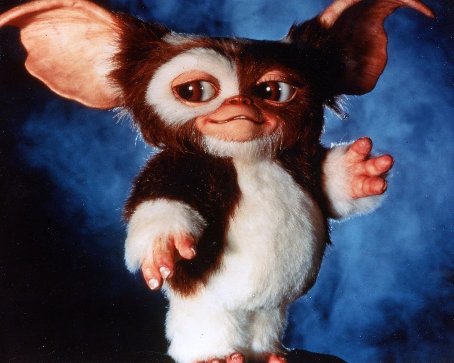 Amazon.de: Inspire Dream Play Gremlins Gizmo 8 x 10 Farbe Werbung Foto ...