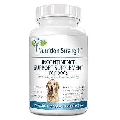 How To Help Incontinence In Dogs