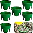 Amazon.com : EBaokuup 6 Pcs 7 Inch Planting Grow Rings-Planting ...