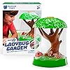 Educational Insights GeoSafari Jr. Ladybug Garden - Ladybug House, Kids ...