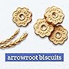 Gerber Arrowroot Biscuits, Snacks for Babies, Arrowroot Cookies ...