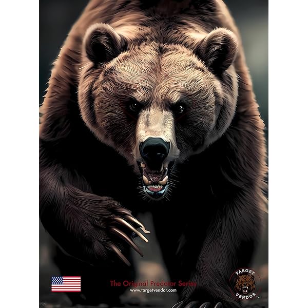 23x35 Targets For Shooting Range Action Target - Alaska State Parks ...