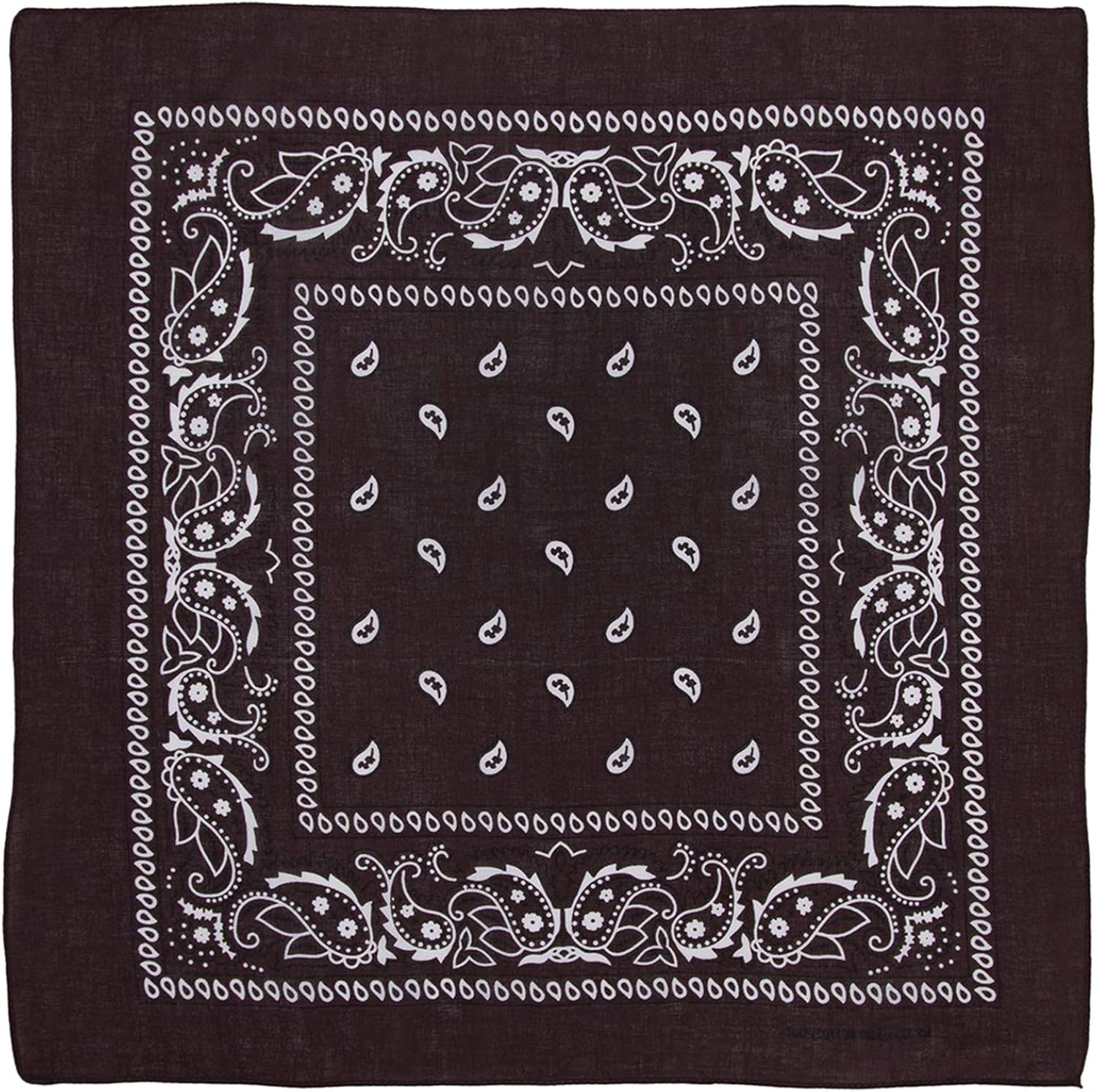 Amazon.com: Large 100% Cotton Paisley Bandanas (22 inch x 22 inch ...