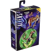 Amazon.com: Aliens: Kenner Tribute Ultimate Panther Alien 7" Action ...