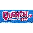 Amazon.com : Quench Gum, Double Raspberry, 10 Count, (12 Pack ...