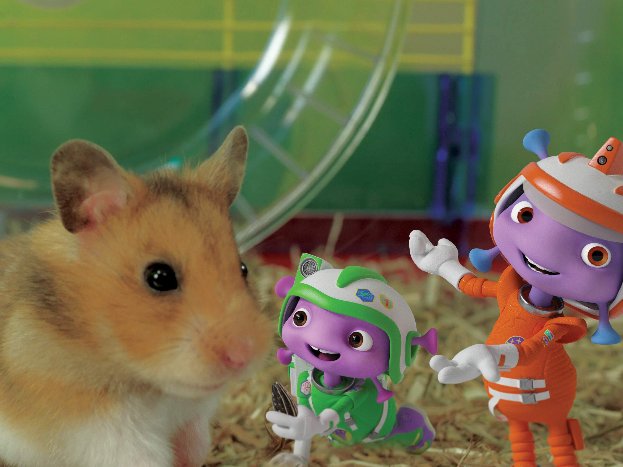 Watch Floogals season 1 | Prime Video