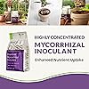 Myco Bliss Powder (2lbs) - Mycorrhizal Fungi for Soil - 5 Strain ...