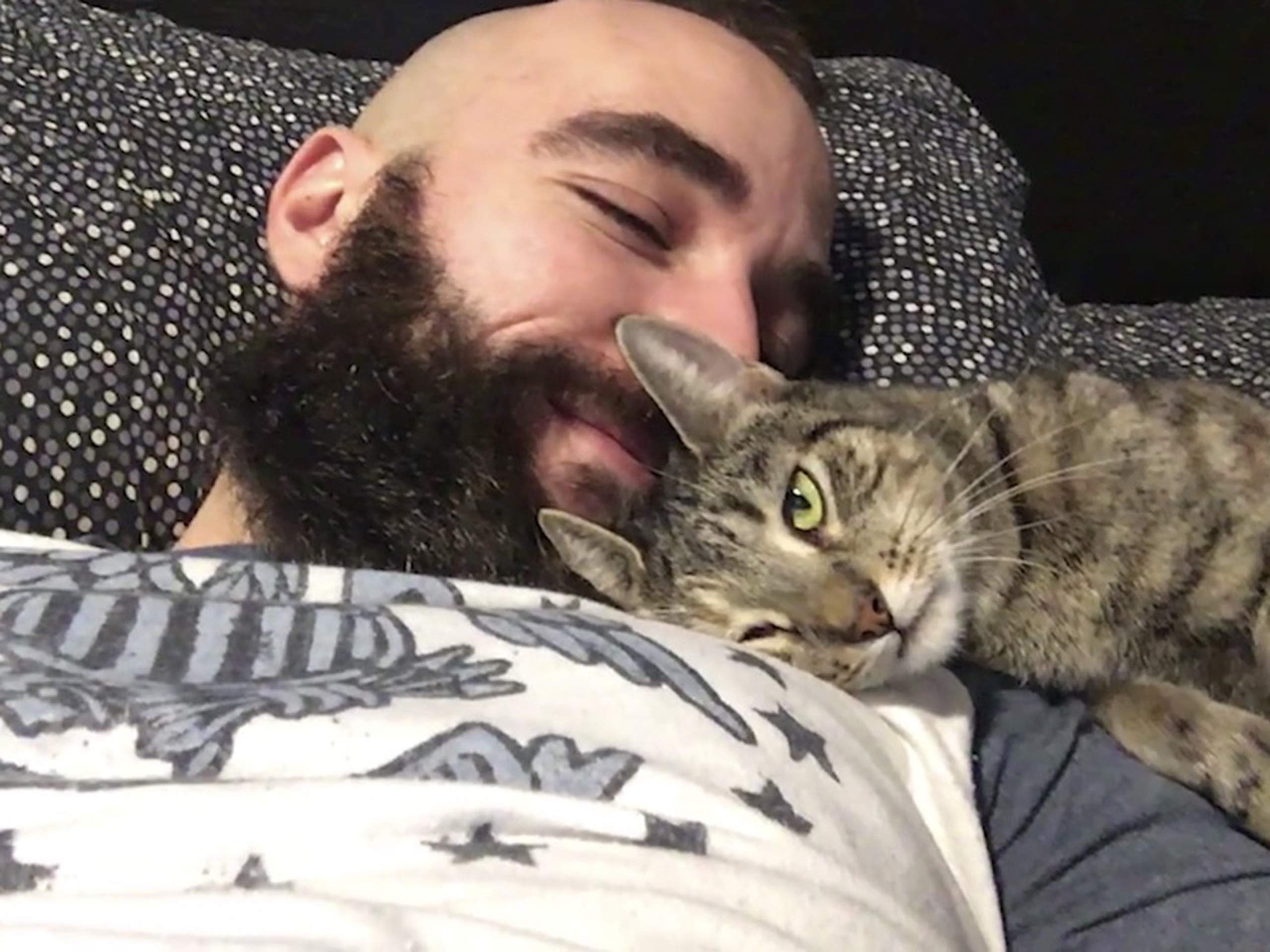 Watch Pet Collective - Season 1 | Prime Video