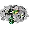 Amazon.com: River Rocks for Painting 90 Pcs Large 2-3 Inch Flat Smooth ...