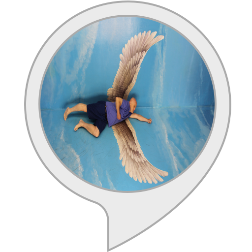 Amazon.com: Unofficial Monty Python Møøse Opening Credits: Alexa Skills