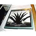 Edward Weston: Masters of Photography Series: Weston, Edward ...