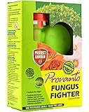 Bayer Garden Concentrated Fungus Fighter, 125 ml: Amazon.co.uk: Garden ...