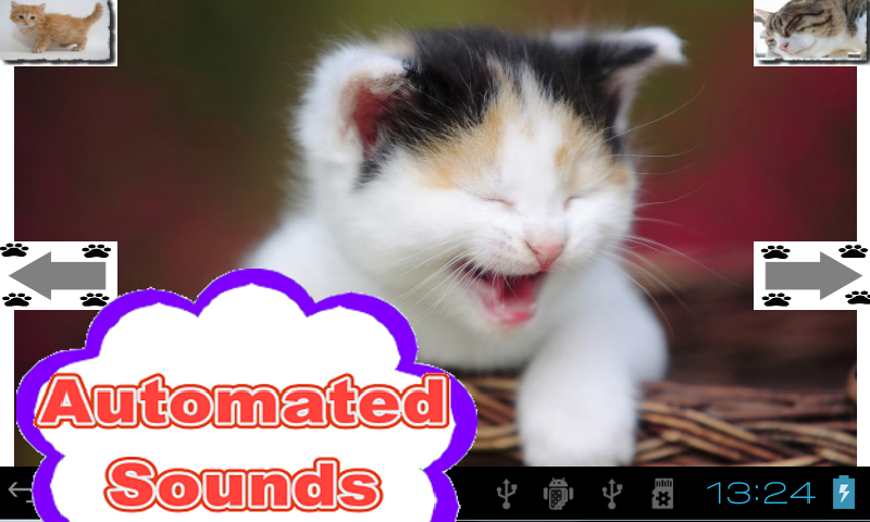 Amazon.com: Kitty auto cat voice cats : Apps & Games