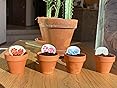 Amazon.com : BUZZY Terracotta Mini Grow Pots | Mini Assorted 12-Pack ...