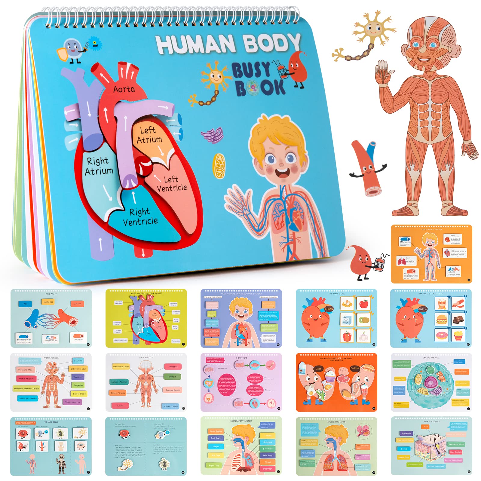 Mua Freebear Preschool Busy Book for Toddlers, Human Body Learning ...