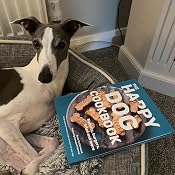 The Happy Dog Cookbook: Biscuits, Burgers, Bites and More: Amazon.co.uk ...