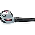 Amazon.com: Oregon Cordless BL300 40V 151 MPH Leaf Blower with 4.0Ah ...