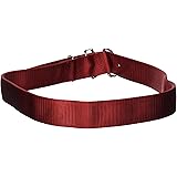 Amazon.com : Hamilton Thick Nylon Deluxe Dog Collar, 1-Inch by 24-Inch ...