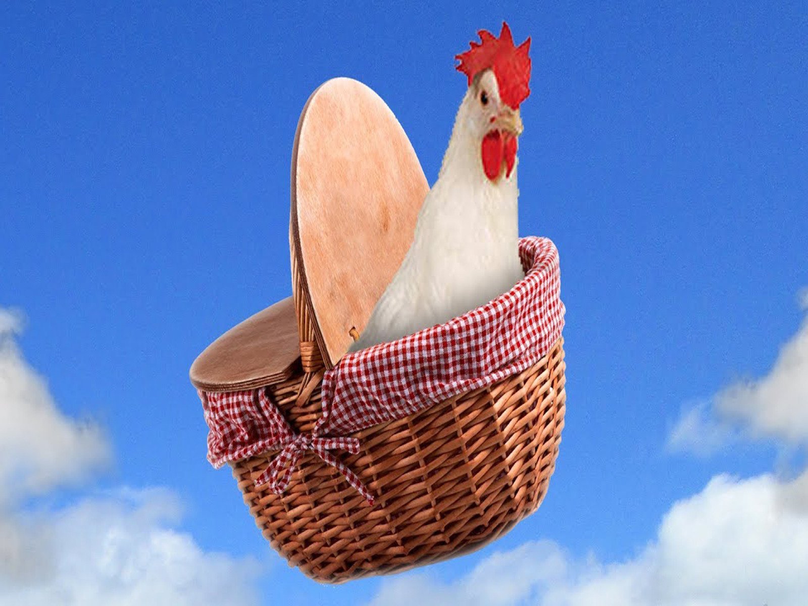 Watch Buttered Side Down | Prime Video