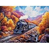 Amazon.com: F-CANLAN Round Full Drill Diamond Painting Kit, 5D DIY ...