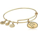 Amazon.com: Alex and Ani Expandable Women's Color Infusion Pittsburgh Steelers Football II EWB ...