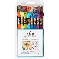 Amazon.com: DMC F25CM16 DMC Embroidery Floss Pack 8.7 Yards 16/pkg-New ...