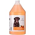 Pet Shampoos : Amazon.com: Oster Hydrosurge Tangerine Clean Shampoo