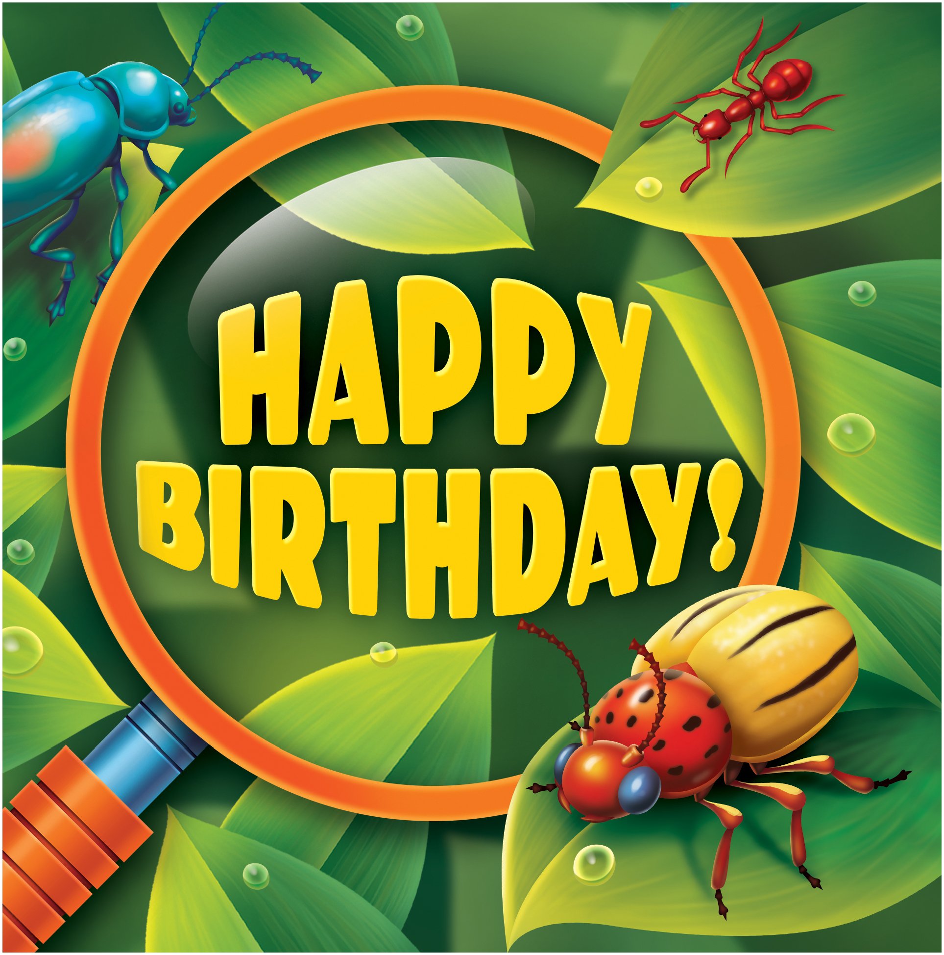 Bug Assortment Edible Sugar Decorations for Cake and Cupcakes 24 count ...