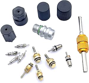 Amazon.com: Air Conditioning Valve Core Kit | Cap & Valve AC R12 R134a ...