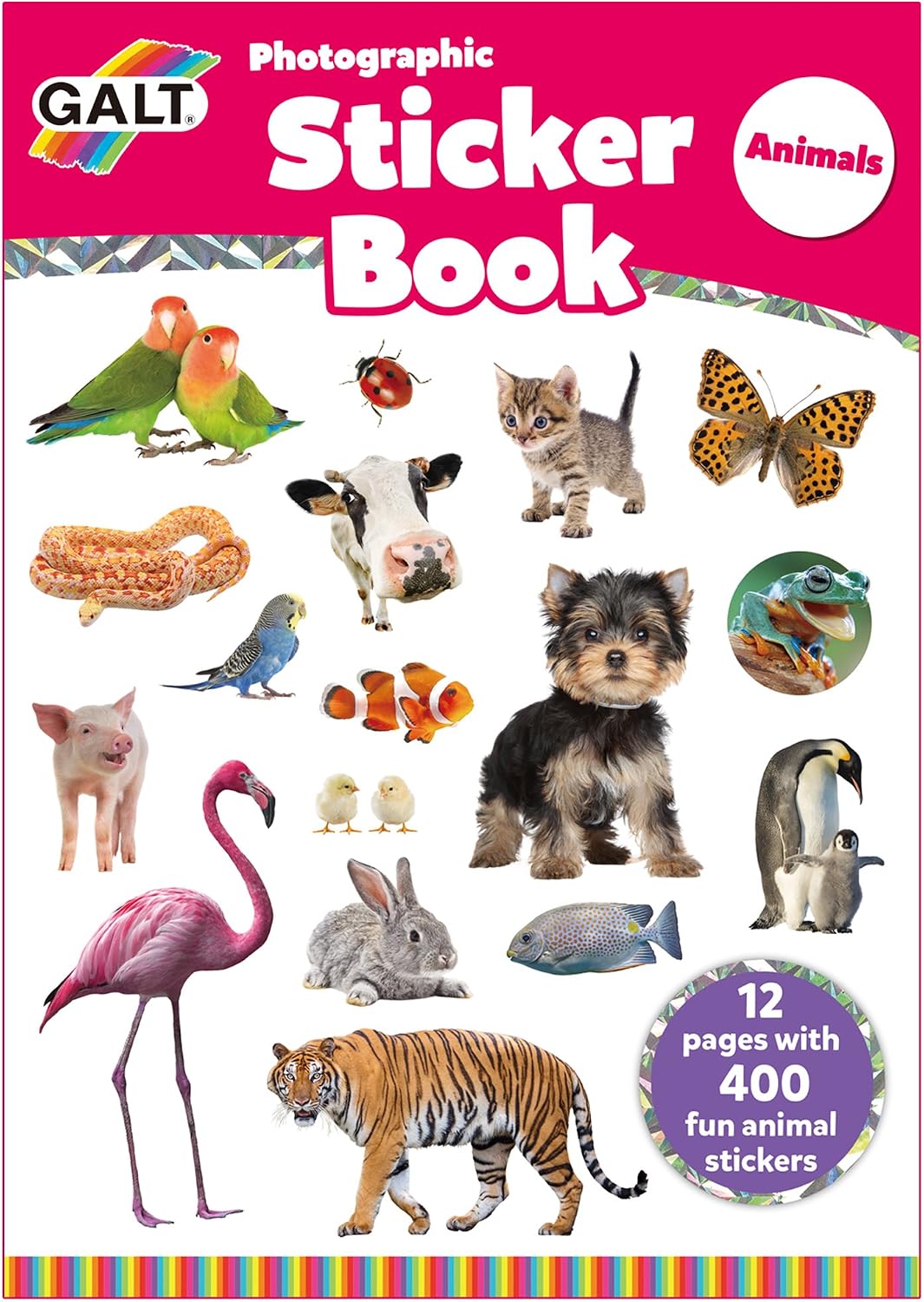 Galt Toys Photographic Book Animals with Over 400 Stickers – BigaMart
