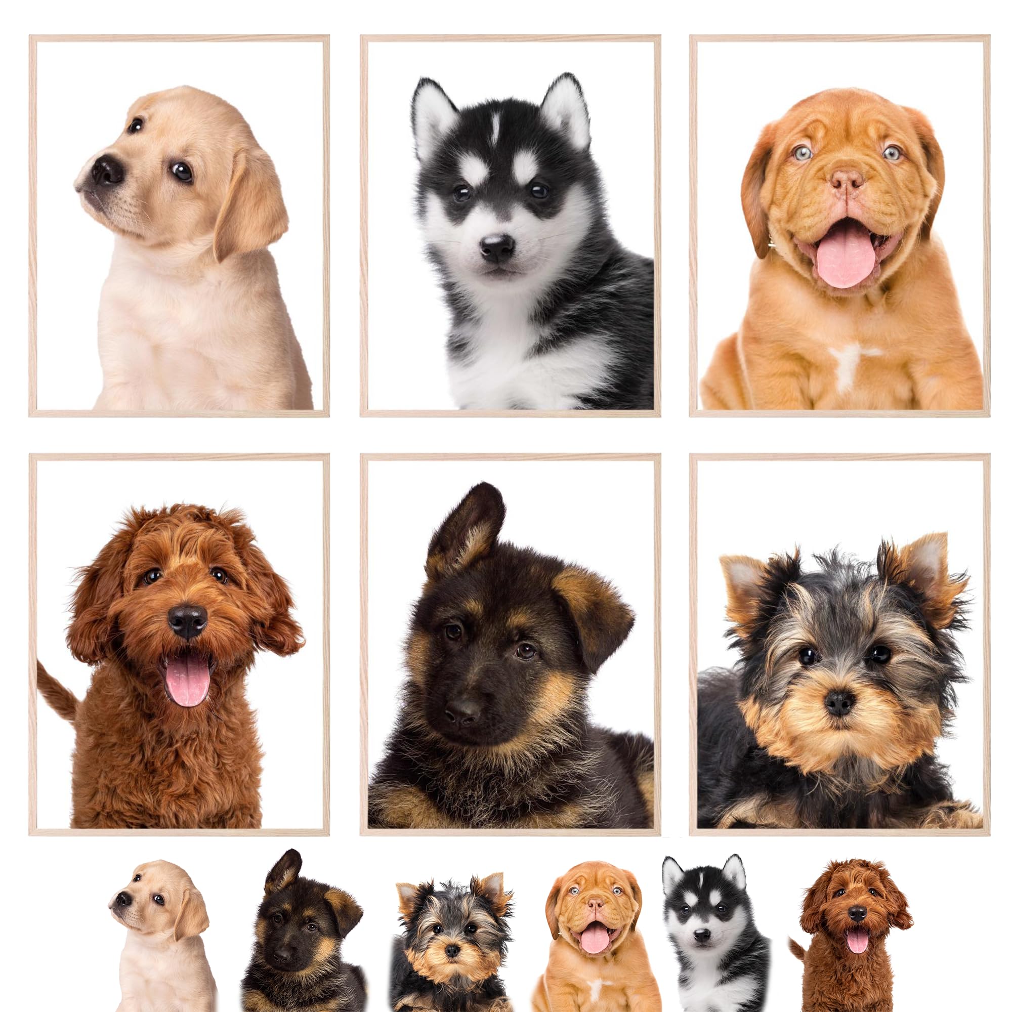 Mua Insire Dog Posters for Wall, Doggie Posters, Doggy Posters, Puppy ...