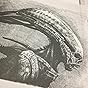 Alien Covenant: David’s Drawings: Hallett, Dane, Hatton, Matt ...