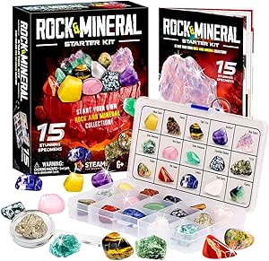 XXTOYS Kids Rocks Collection - 15-Piece Rock Collections for Kids ...