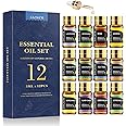 Amazon.com: Essential Oils by SACATR Natural Essential Oil Set -12 Essential Oils Gift Set for ...