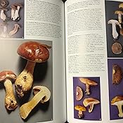 Mushrooms: Amazon.co.uk: Phillips, Roger: 9780330442374: Books