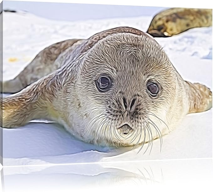 Süßes Robben Baby Deluxe Format: 100x70 cm auf Leinwand, XXL riesige ...