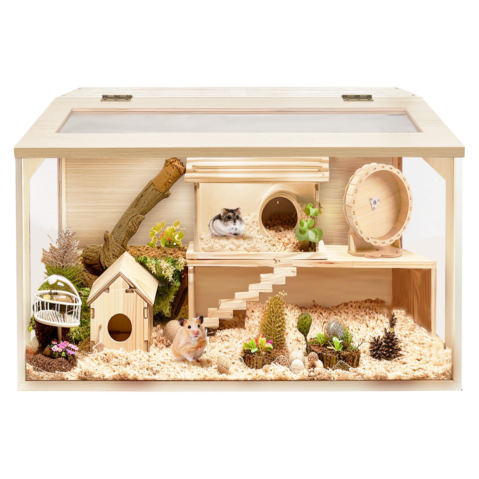 Prolee Hamster Cage Chew Proof, Mice and Rat Habitat Openable Top with ...