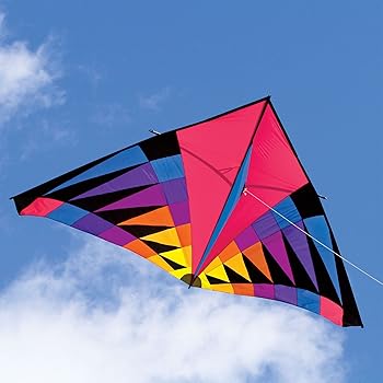 Amazon.com: Swept Wing Double Box Delta Kite: Toys & Games