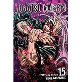 Amazon.com: Jujutsu Kaisen, Vol. 14: 9781974725328: Akutami, Gege: Books