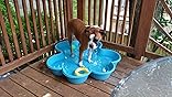 Amazon.com : One Dog One Bone BPP02 Paw Shaped Dog Pool Made with Heavy ...