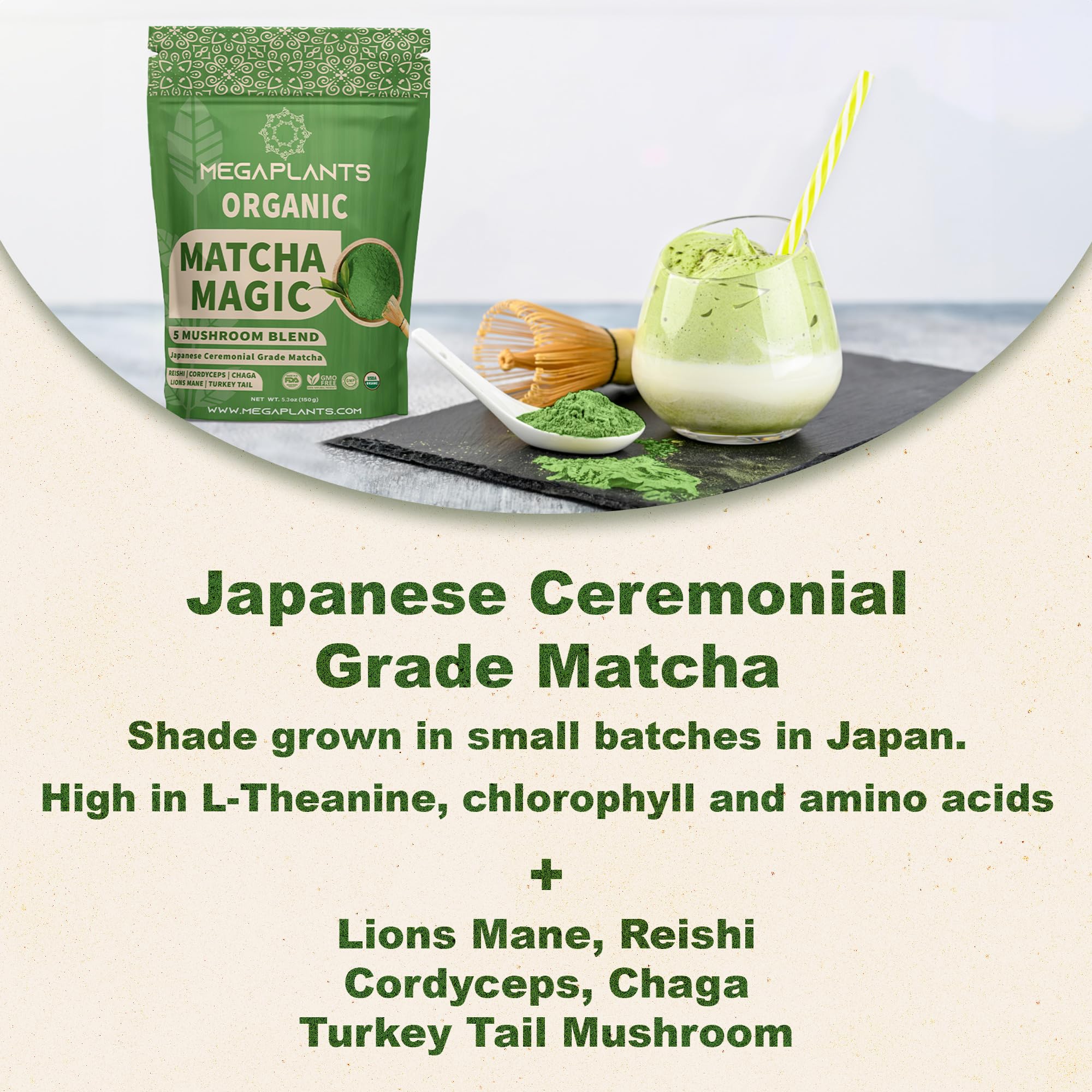 Mua Matcha Magic (50 Servings) | Superfood 5 Mushroom Powder Blend for ...