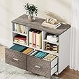 Amazon.com: Tribesigns 2-Drawer Wood File Cabinet, Mobile Lateral Filing Cabinet for Hanging ...