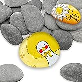 Amazon.com: 24 Extra-Large Rocks for Painting – Bulk Multi-Colored ...