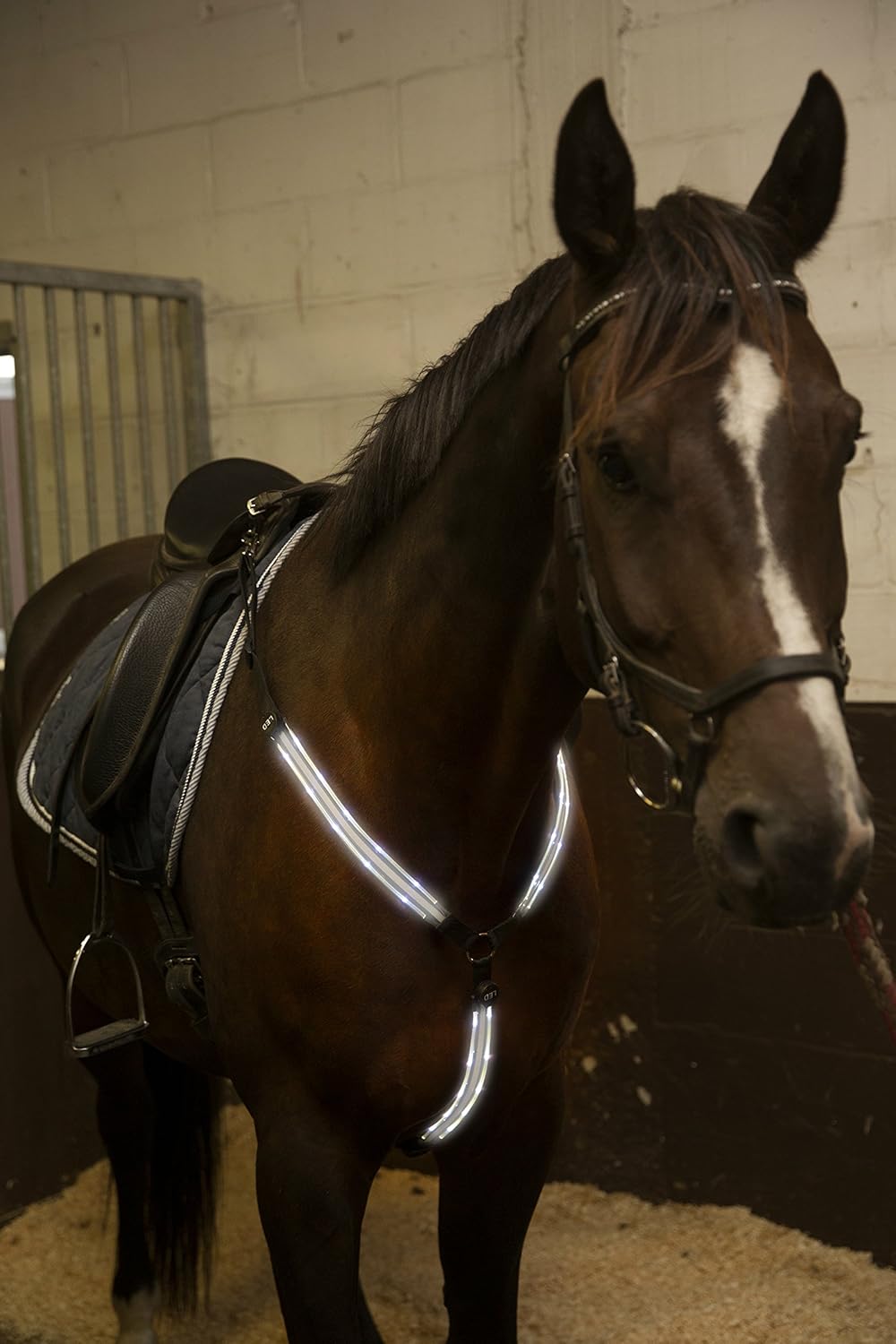 Horse Hi Viz Breastplate at Noah Marryat blog