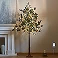 Amazon.com: LITBLOOM Lighted Magnolia Tree 6FT 280 LED Fairy Lights ...