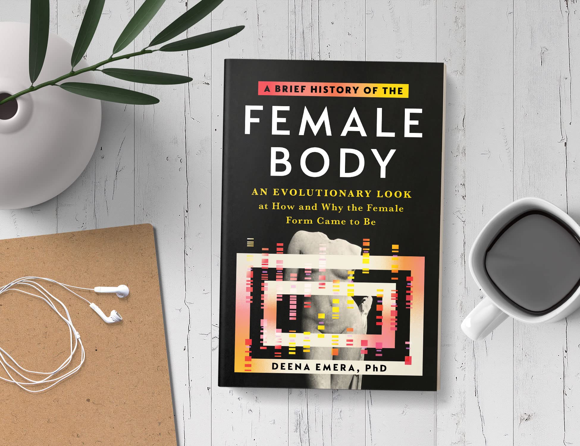 Mua A Brief History of the Female Body: An Evolutionary Look at How and ...
