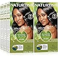 Amazon.com: Naturtint Permanent Hair Color 2N Brown Black (Pack of 6), Ammonia Free, Vegan ...