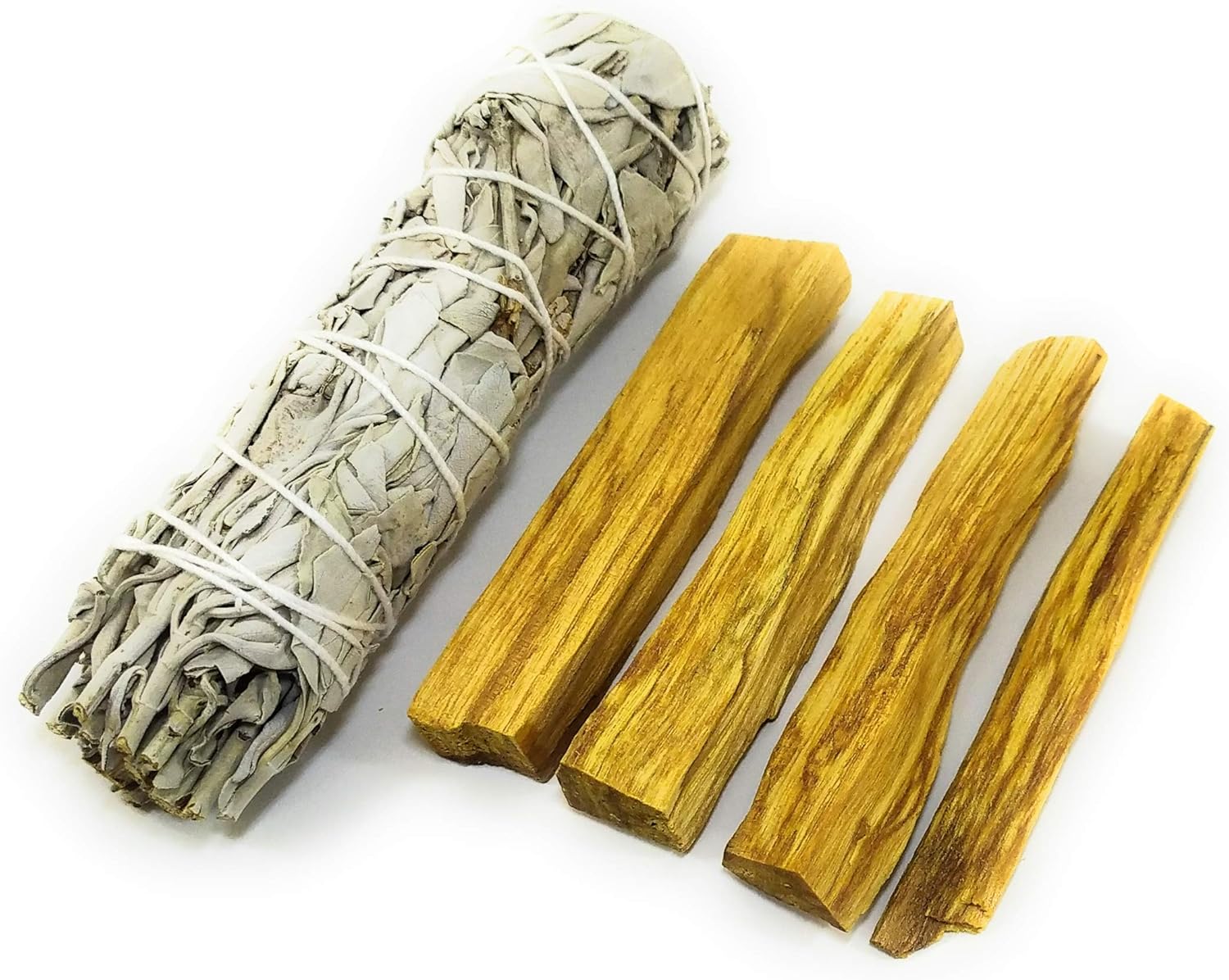 Beneficios de Salvia officinalis, una planta purificadora del hogar