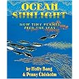 Ocean Sunlight: How Tiny Plants Feed the Seas (Sunlight Series): Bang ...