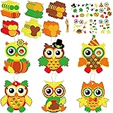 Amazon.com: Winlyn 24 Sets Foam Owl Decorations DIY Owl Fall Craft Kit ...